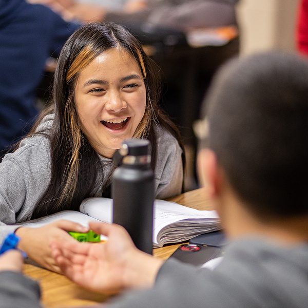 Algebra 1 Advantage | PLTW