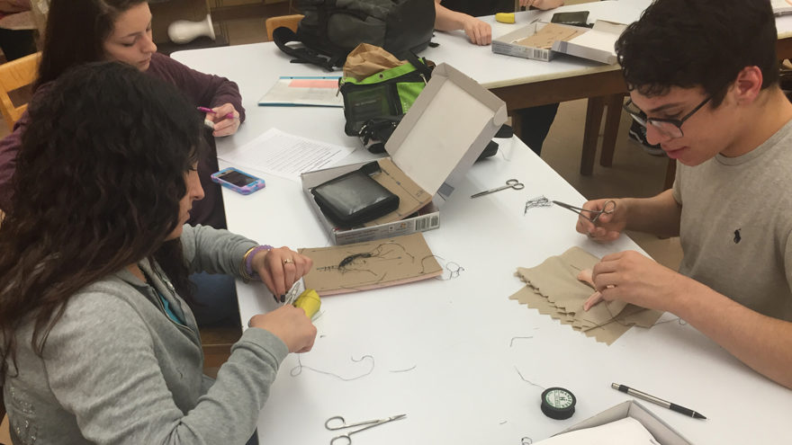 AP + PLTW Achievement: A Student Success Story | PLTW