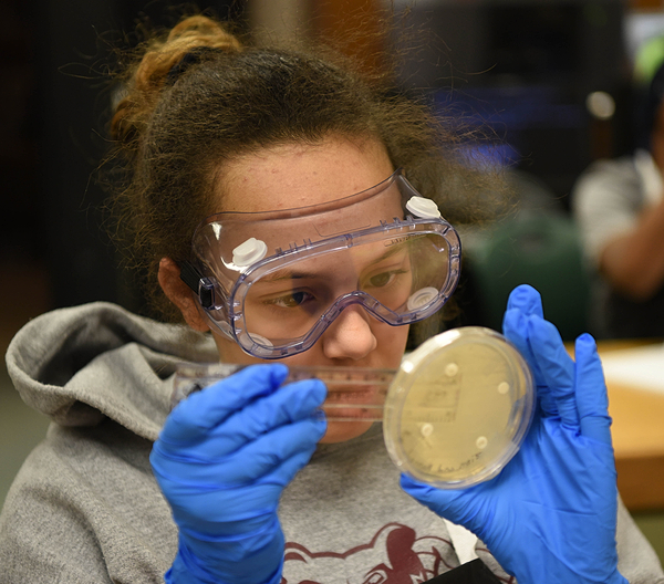 Implement STEM in Your Classroom | PLTW's Proven Plan