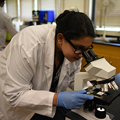 High School Biomedical Science STEM Curriculum Grades | PLTW