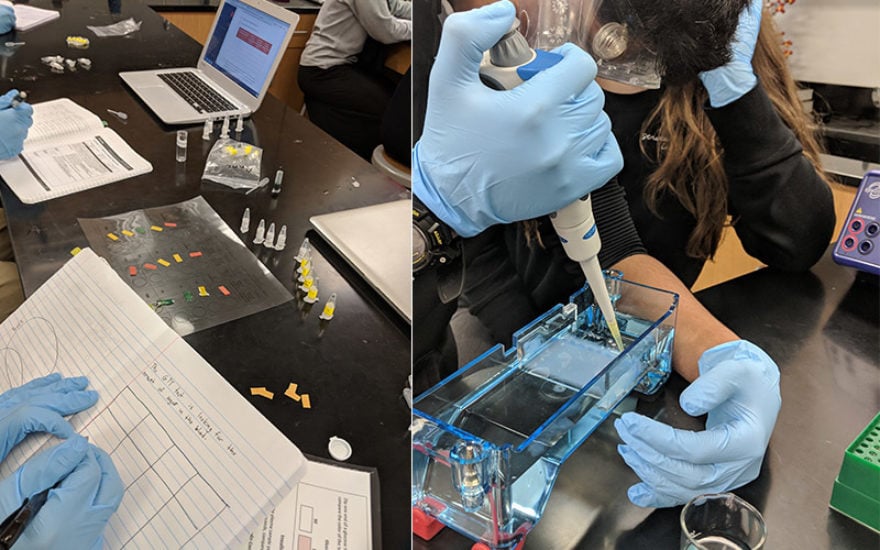 Dear New PLTW Student | PLTW